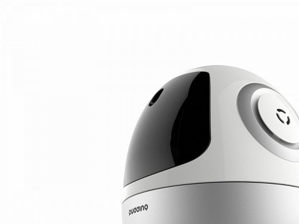 Купить Робот Roobo Pudding S (Емеля) недорого в интернет-магазине ...